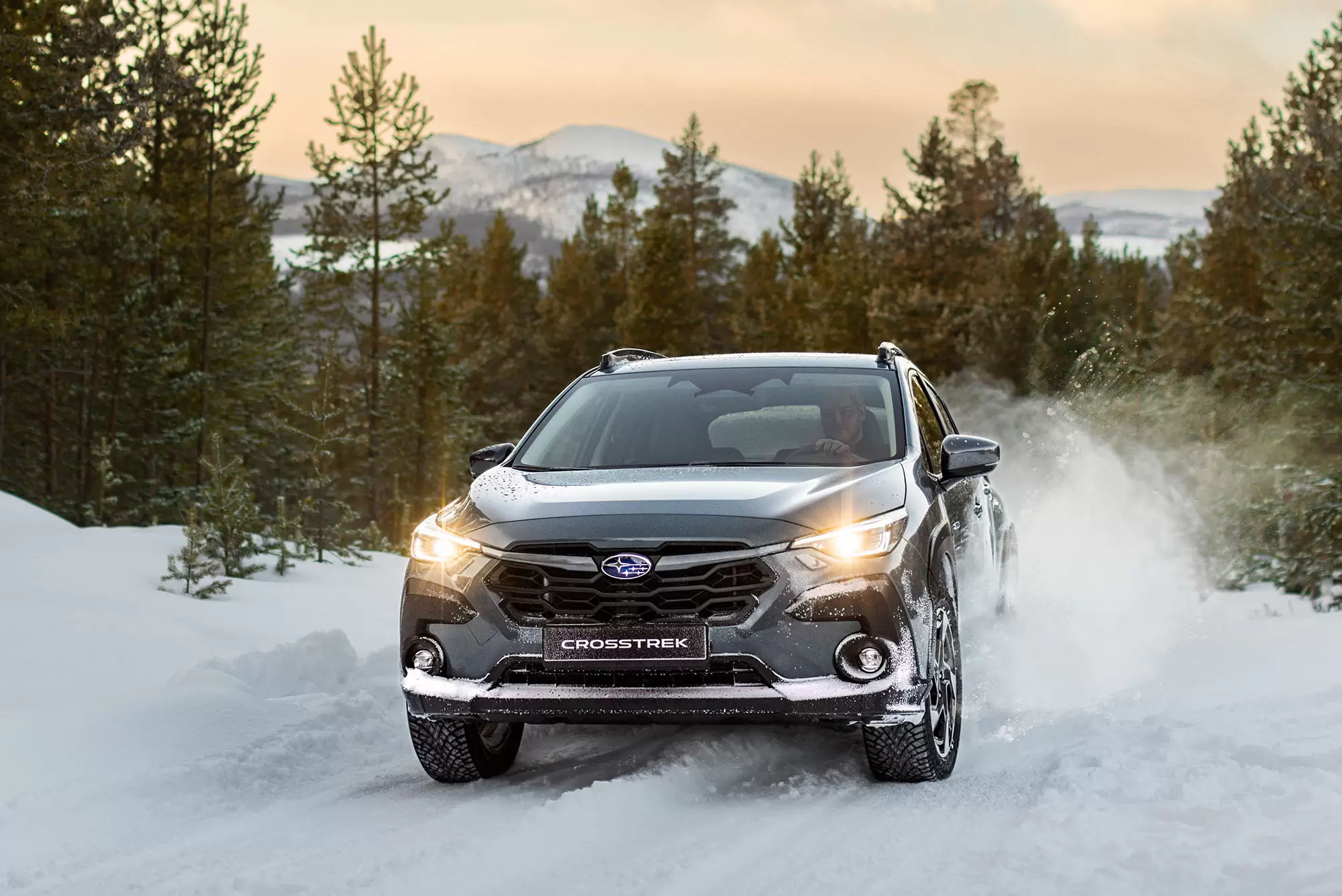 Subaru Motability Car Scheme