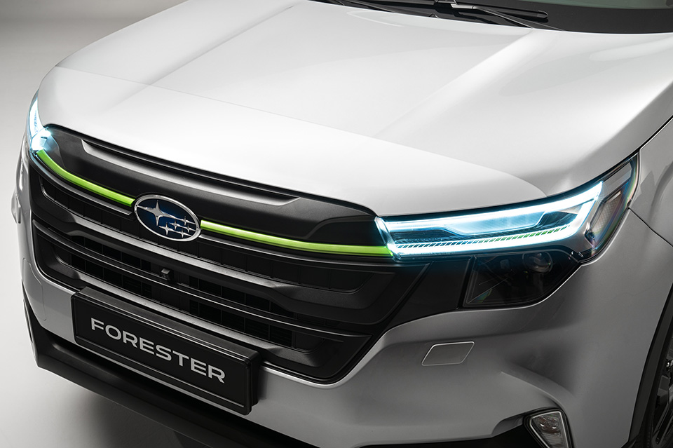 Bonnet Protection Foil