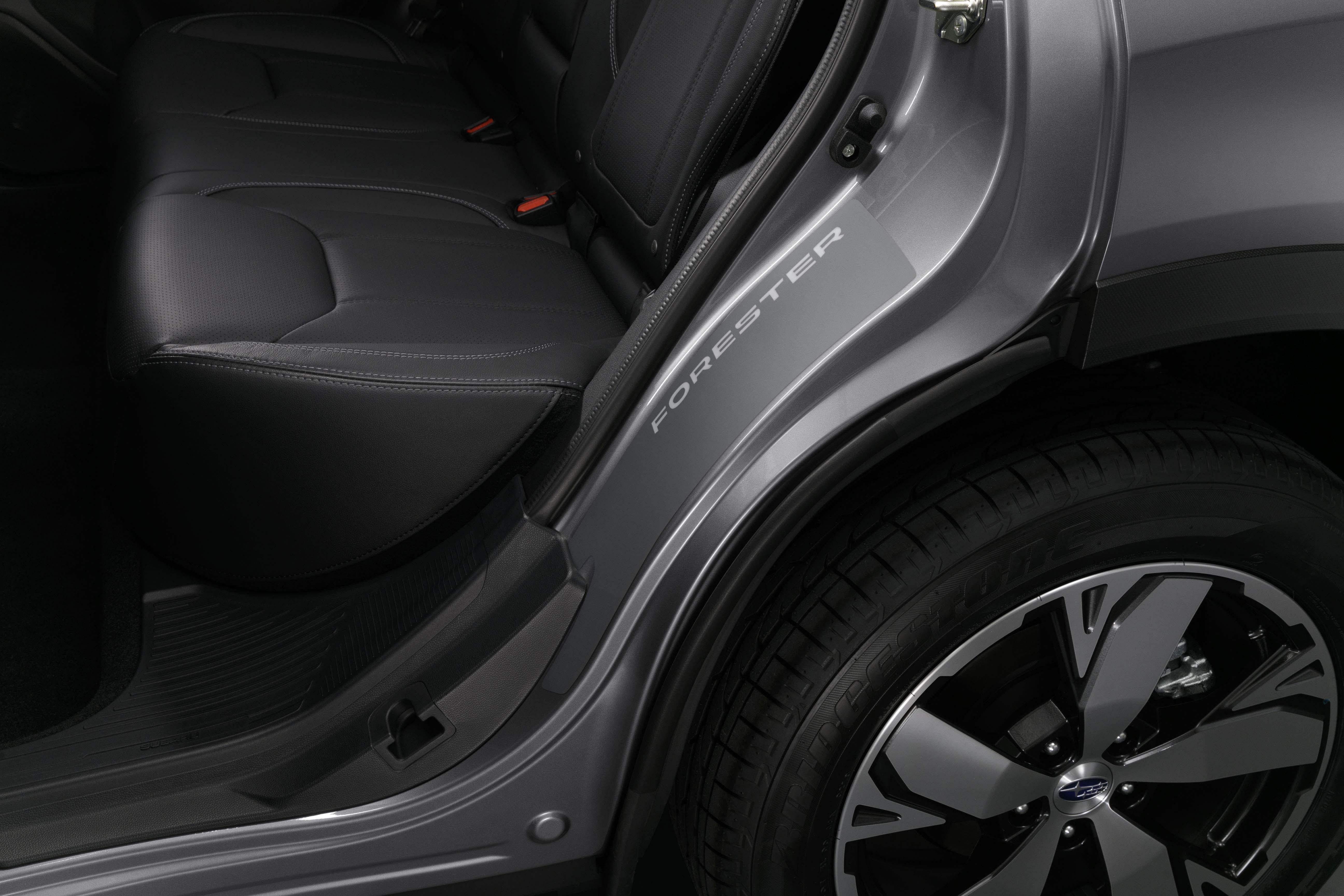 Rear Door Entry Protection Foil