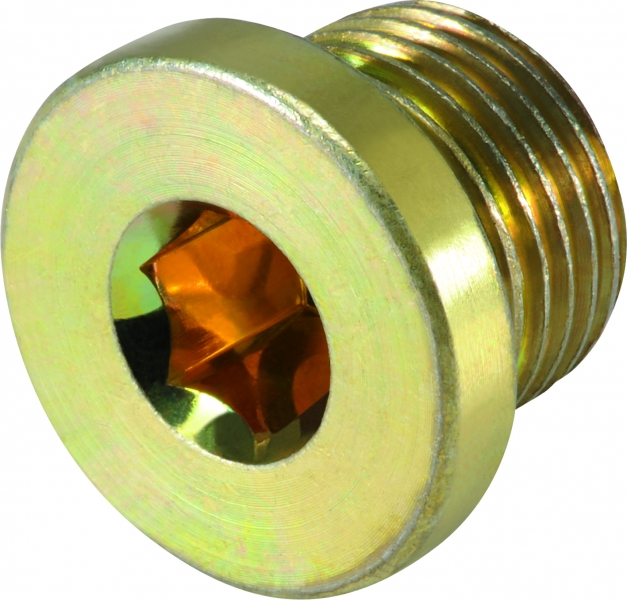 Oil Drain Plugs Socket Head M24 x 1.5 Pack of 10 | 19134 | VCOIL ...