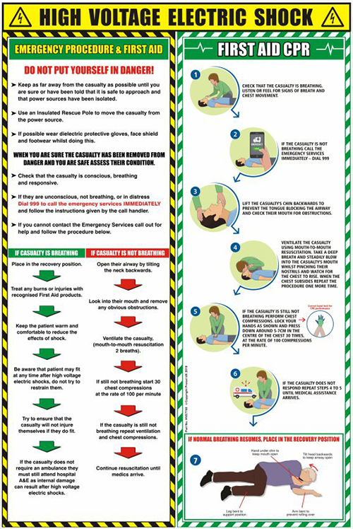 Workshop Warehouse EVH39 EV Electric Shock & CPR Poster